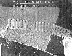 Filament Analysis | Georgia Bureau of Investigation Division of ...