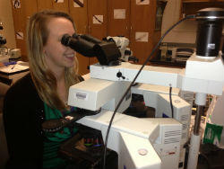 Trace Evidence | Georgia Bureau of Investigation Division of Forensic ...